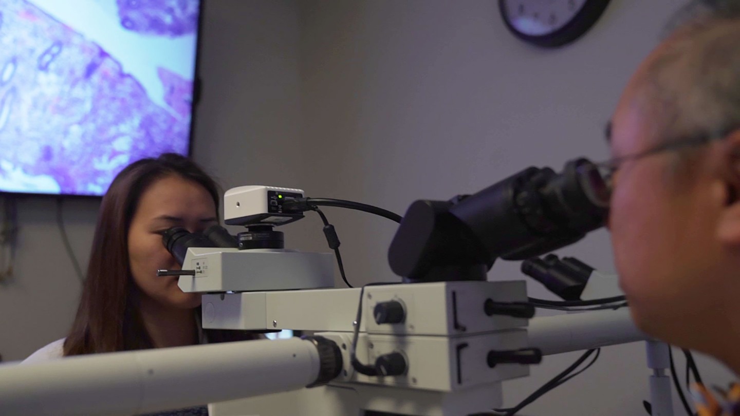 Curriculum/Rotations | Pathology Residency | Medical School | Brown University