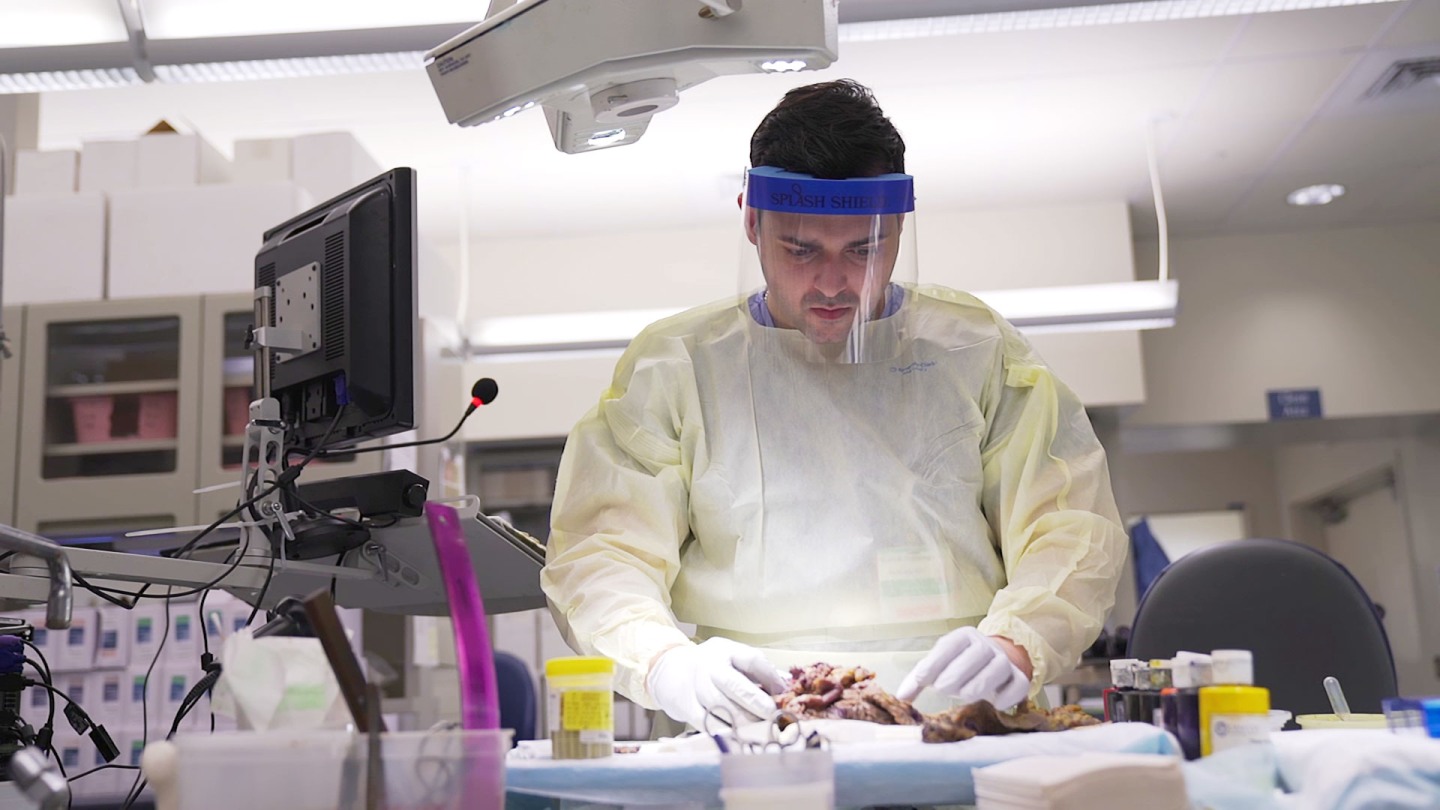 Residency Program | Pathology Residency | Medical School | Brown University