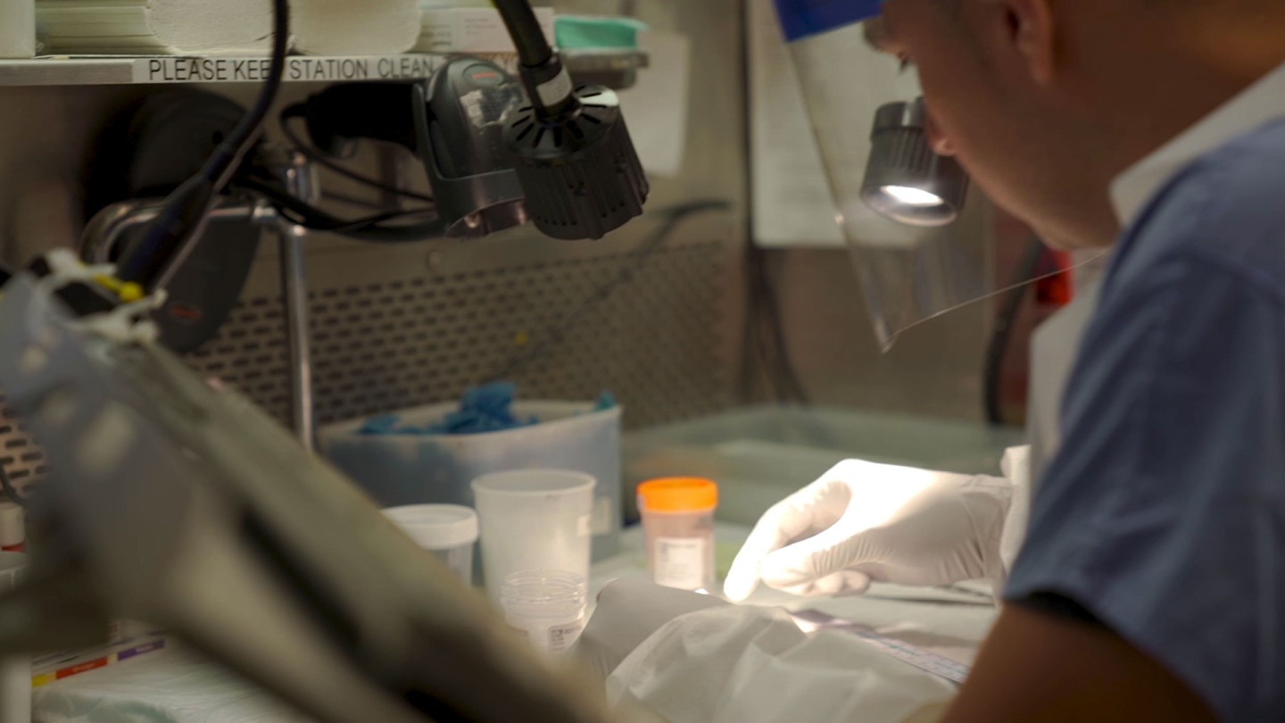 Residents | Pathology Residency | Medical School | Brown University